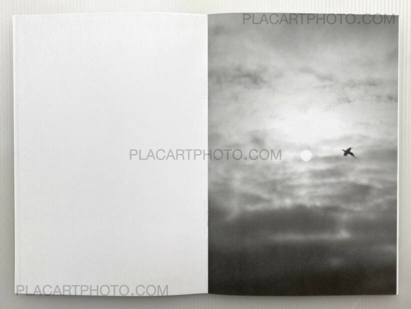 Collective: Dying Birds, Hassla Books, 2010 | Bookshop Le Plac'Art Photo