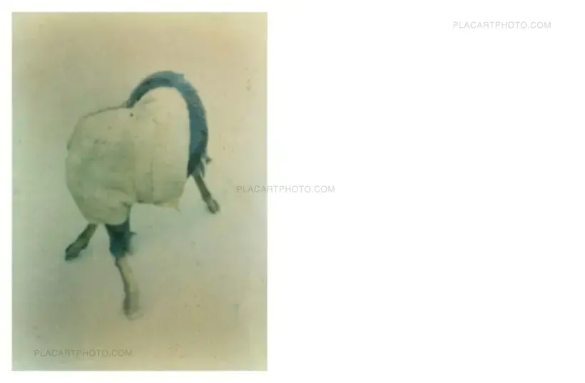 Martin Bogren: Passenger (Signed), lamaindonne, 2021 | Bookshop Le Plac ...