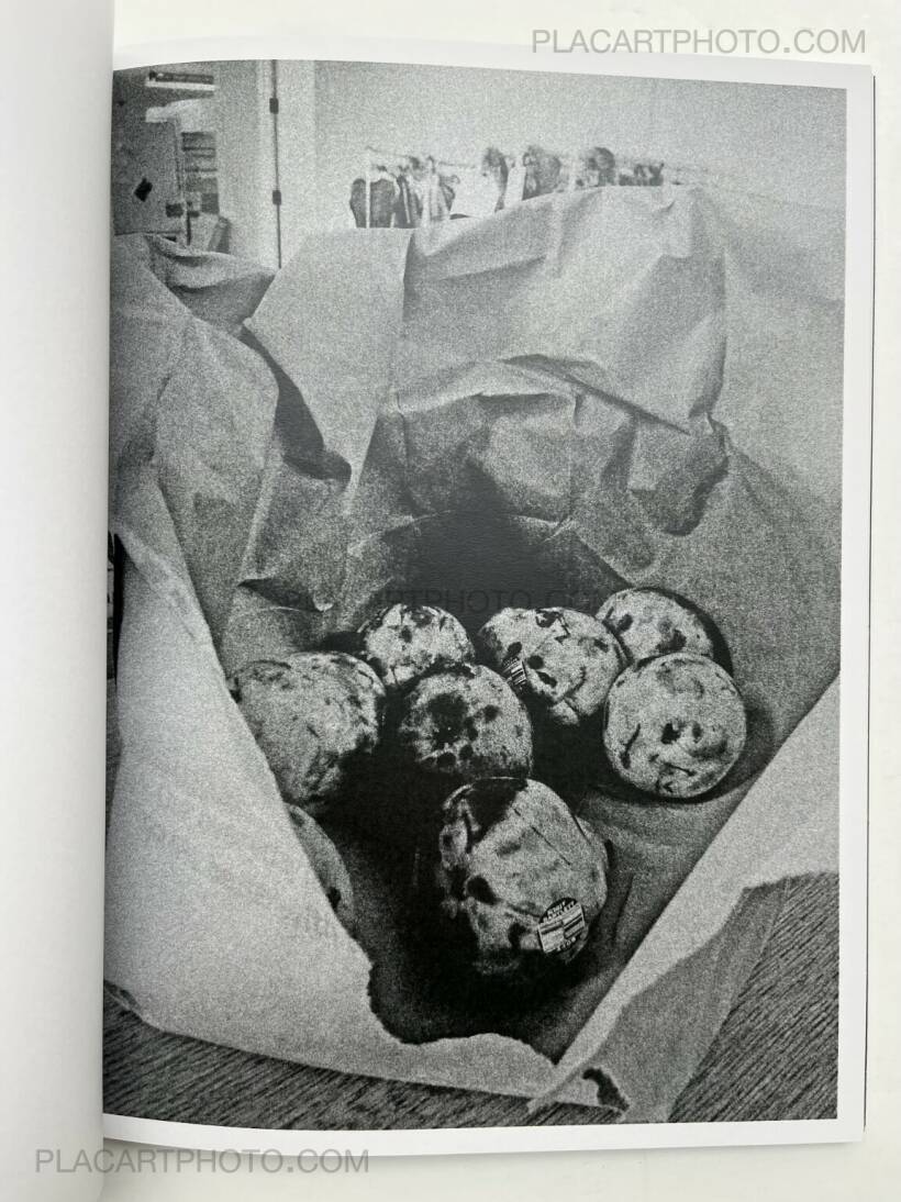 Jordan Sullivan: Remaining Light (Signed), Silas Finch, 2016 | Bookshop ...