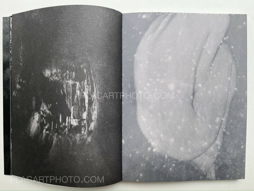 Julie van der Vaart: Blind Spot , Void, 2022 | Bookshop Le Plac'Art Photo