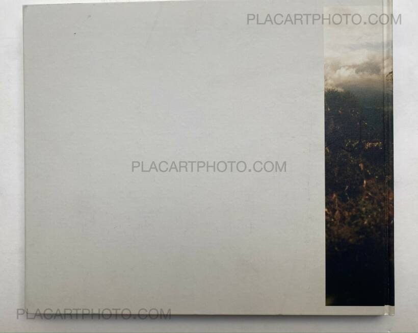 Hiroki Matsui: SUNNY (Signed), PINE TREE BOOKS, 2015 | Bookshop Le Plac'Art Photo