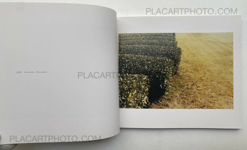 Hiroki Matsui: SUNNY (Signed), PINE TREE BOOKS, 2015 | Bookshop Le Plac ...