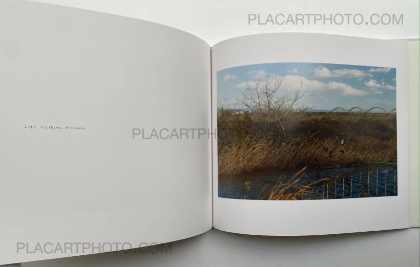Hiroki Matsui: SUNNY (Signed), PINE TREE BOOKS, 2015 | Bookshop Le Plac ...