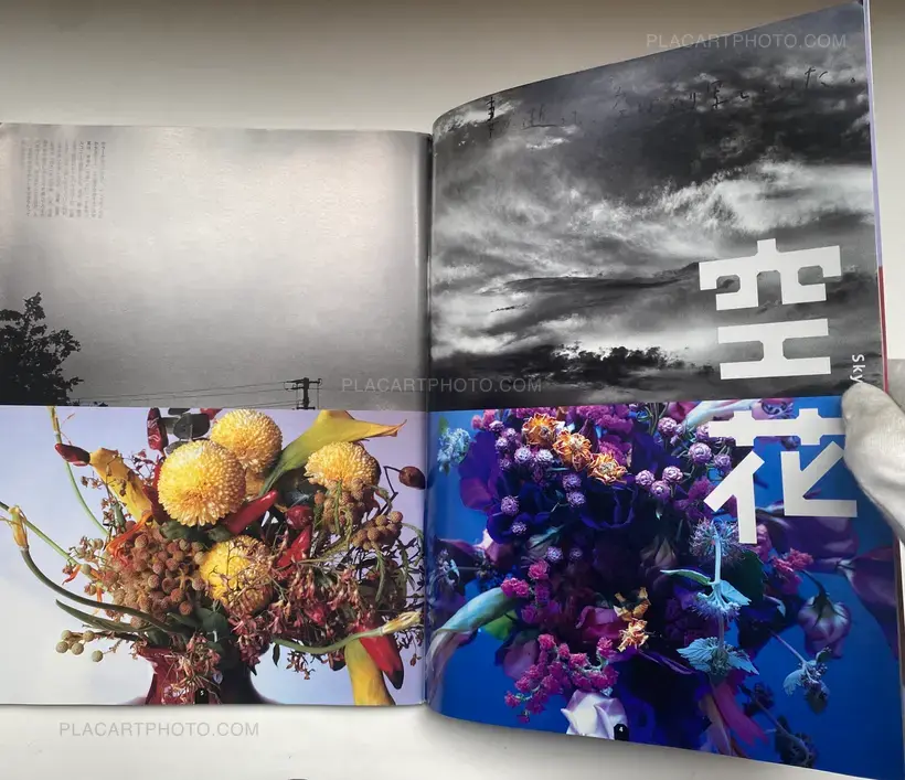Nobuyoshi Araki: ARAKI Nobuyoshi: Sentimental Photography, Sentimental ...