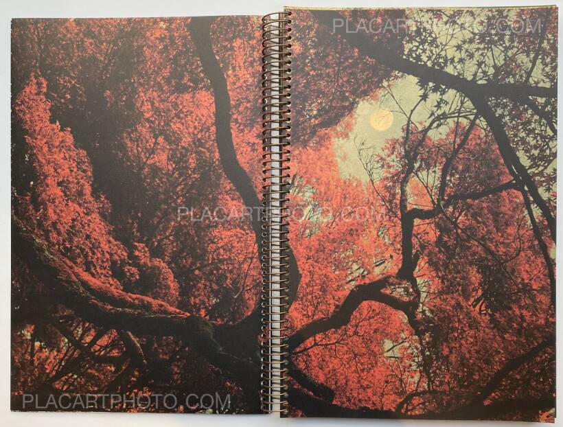 Albarran Cabrera: THE WORLD'S FIRST PHOTOBOOK WAS BLUE, Ira Stehmann ...