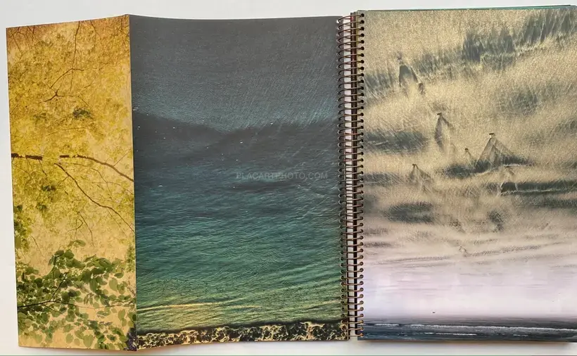 Albarran Cabrera: THE WORLD'S FIRST PHOTOBOOK WAS BLUE, Ira Stehmann ...
