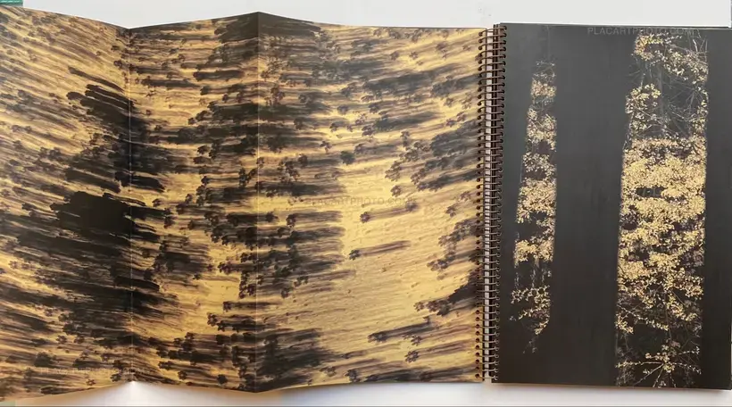 Albarran Cabrera: THE WORLD'S FIRST PHOTOBOOK WAS BLUE, Ira Stehmann ...
