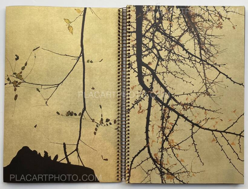 Albarran Cabrera: THE WORLD'S FIRST PHOTOBOOK WAS BLUE, Ira Stehmann ...