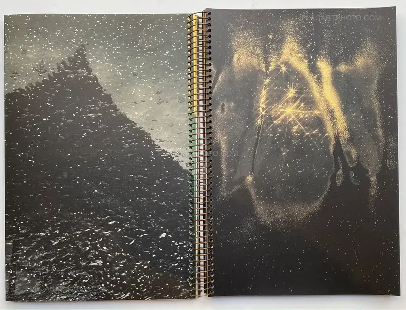 Albarran Cabrera: THE WORLD'S FIRST PHOTOBOOK WAS BLUE, Ira Stehmann ...