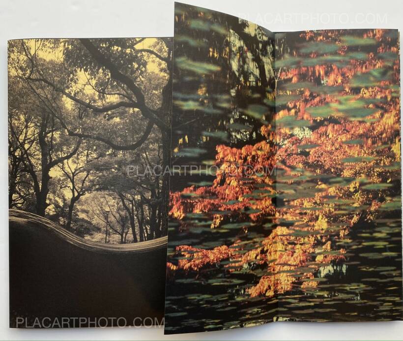 Albarran Cabrera: THE WORLD'S FIRST PHOTOBOOK WAS BLUE, Ira Stehmann ...