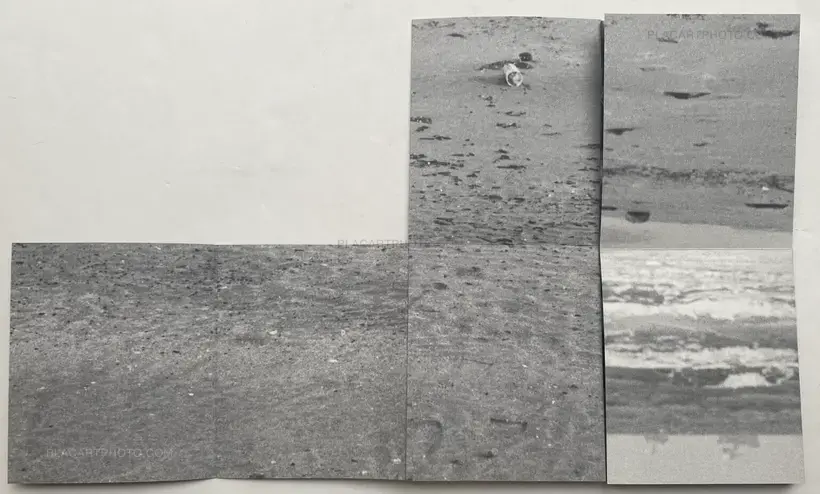 Arina Essipowitsch: FOLD (edt of 500), La Compagnie - Lieu de création ...