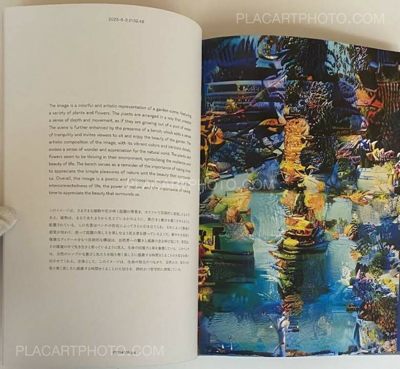 Taro Karibe : Aim an Arrow at the Rock in the Ocean (SIGNED ...