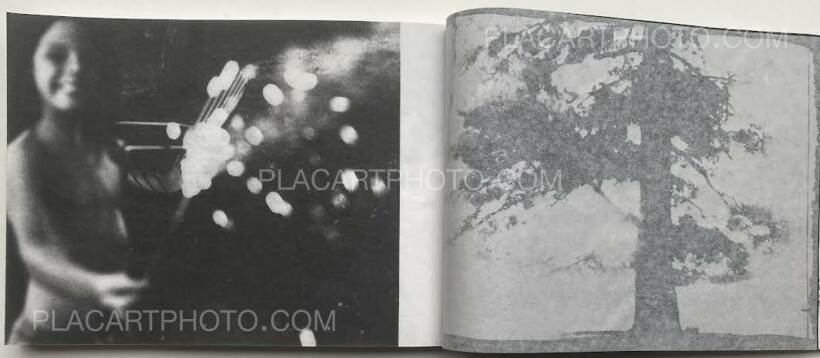 Alyssa Warren: The Lake (Edt of 35) , Self-published , 2023 | Bookshop Le Plac'Art Photo