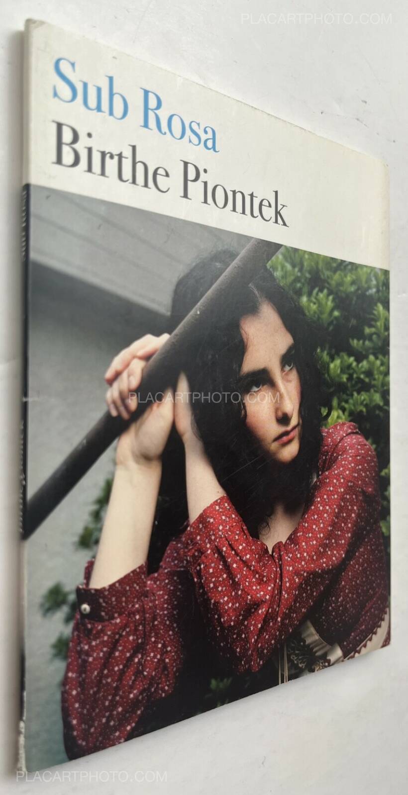 Birthe Piontek: Sub Rosa, Kominek, 2008 | Bookshop Le Plac'Art Photo