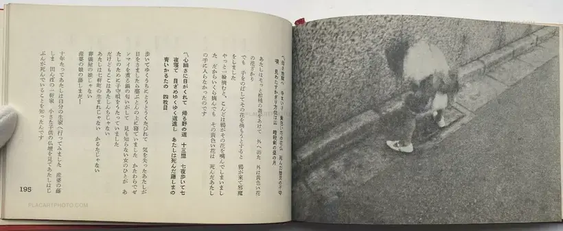 Collective: Now, Look at This! Stage Photographs of Tenjo Sajiki ...
